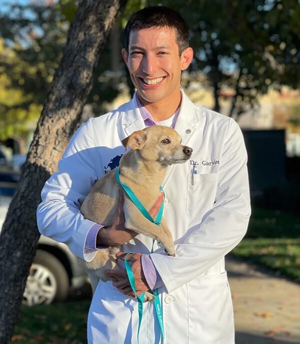 Meet Our Teams - Blue Oaks Veterinary Clinic, Willow Rock Pet Hospital